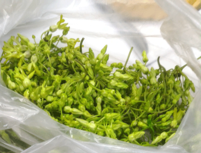 Exploring Butig Falls in Olongapo City | Playing Tourist