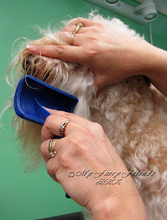 Pet Grooming: The Good, The Bad, & The Furry: Using a Mat Splitter to ...