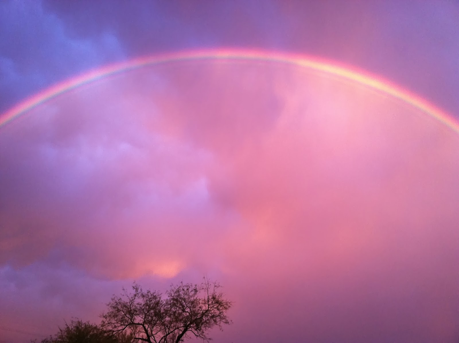 Tucson Daily Photo ~: Spectacular Tucson Sunset + Double Rainbow ...