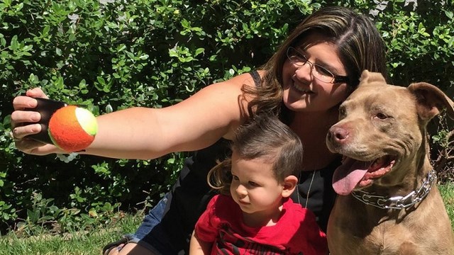 [GENIAL!] Quieres buenas fotos con tu perro? Y quieres ahorrar más de ...