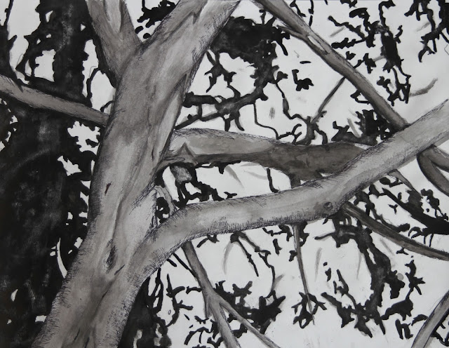 Student Art: Pen & Ink Trees