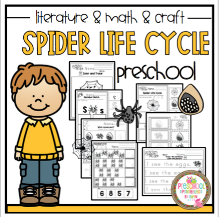 Spider Life Cycle Literature and Math plus Sequencing Craft ~ Preschool ...