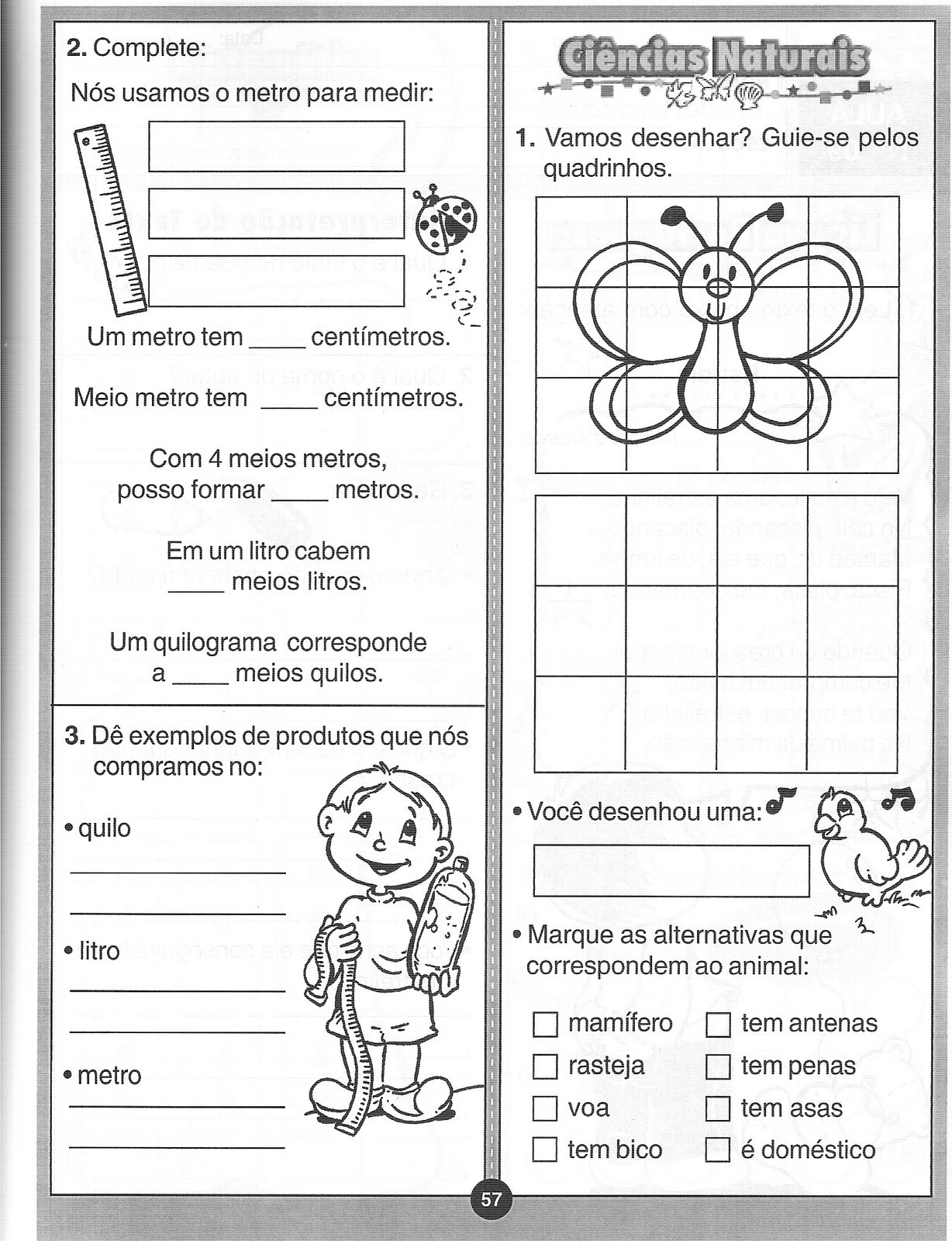 Atividades Sobre Medidas De Comprimento 3 Ano - REVOEDUCA