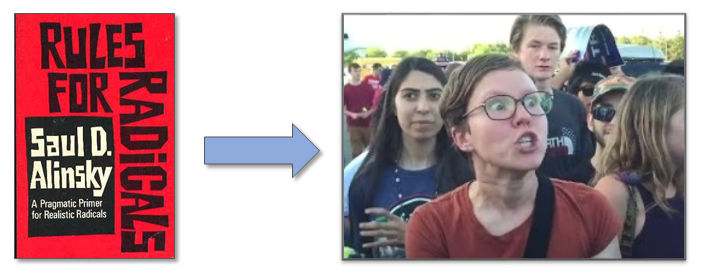 The SJW's Bible - Rules for Radicals - American in Québec