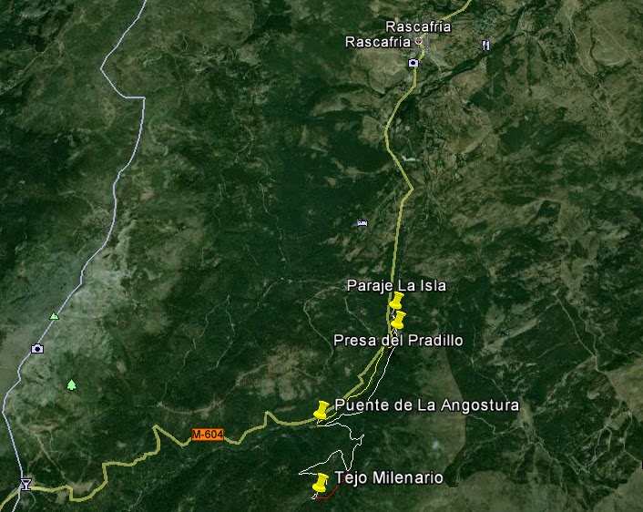 RascafriaNaturalezayPaisaje: Sitios de Interés > Tejo Milenario