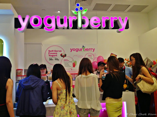 YogurBerry - The Healthy Frozen Yogurt