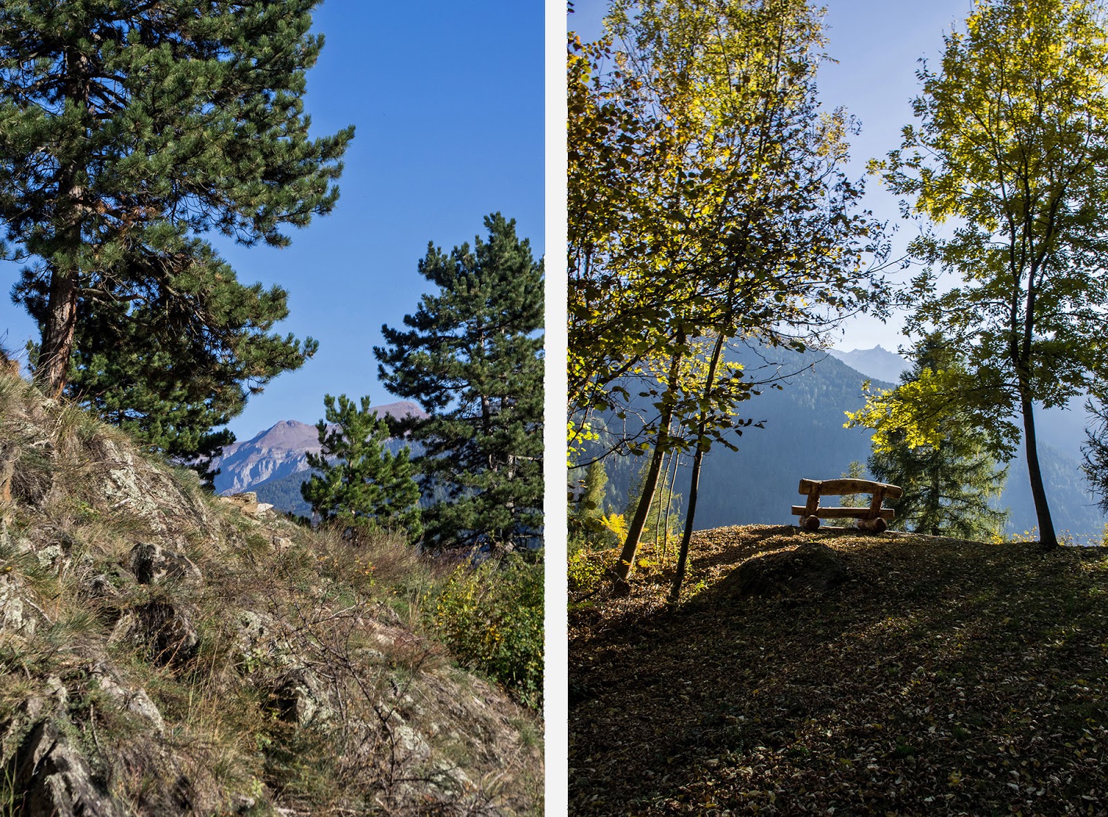 Quattro passi in Val di Sole: Passeggiata autunnale tra i paesi di ...