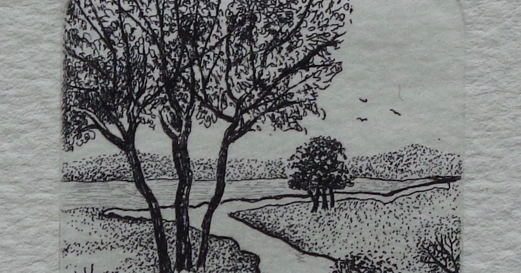 Grafiek uit de Gentse School: Pieter Colen / Koenraad Overmeire (1952 - )