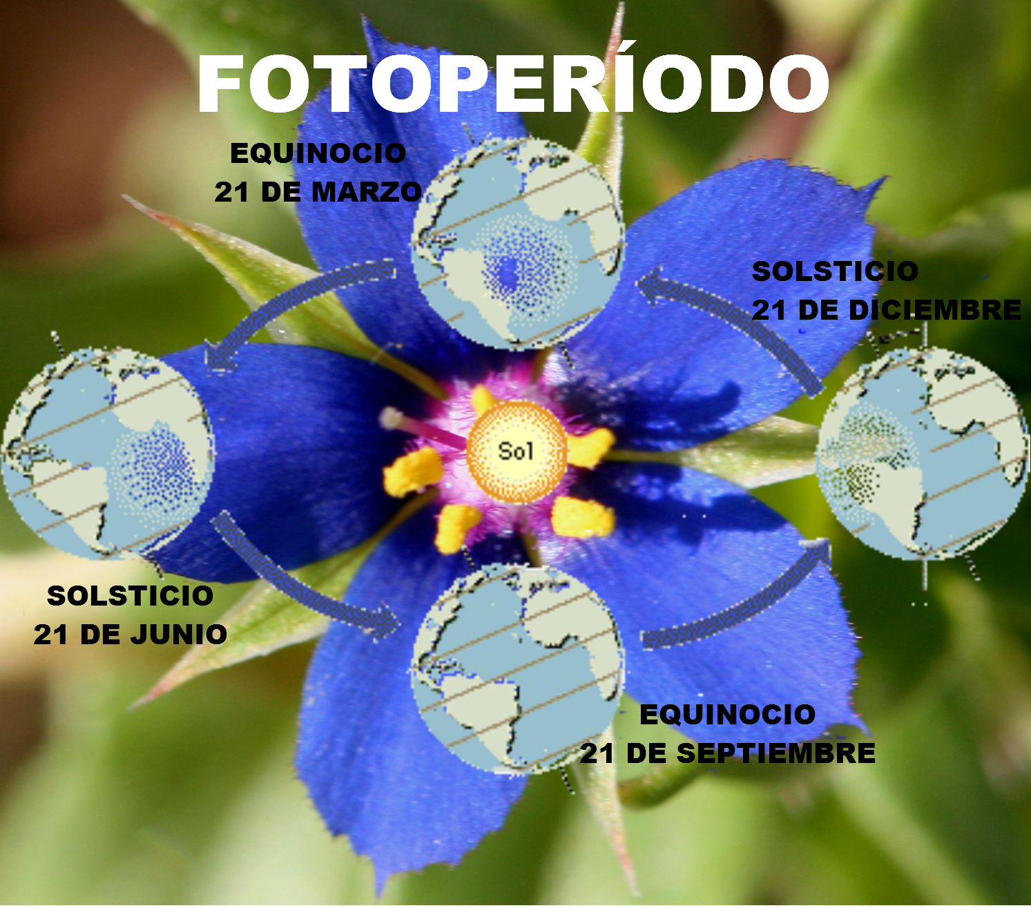 Climatología 2017: Trabajo práctico Fotoperíodo IRNR