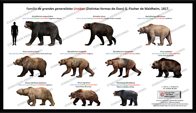 MUNDO PREHISTORICO: GRAFICOS COMPARATIVOS
