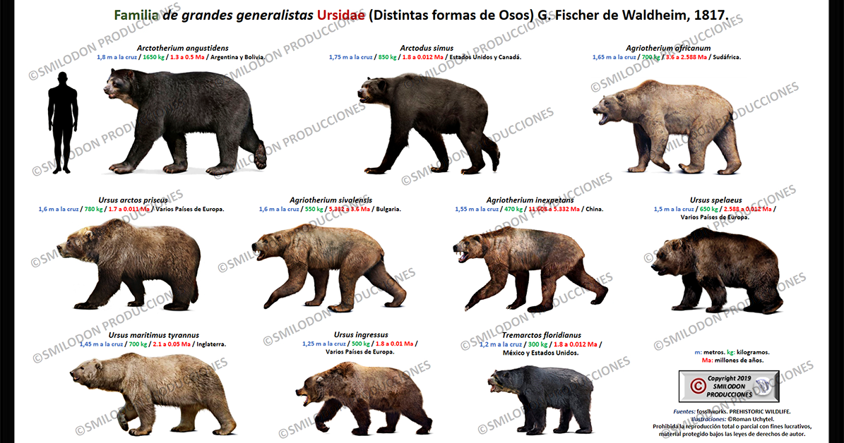 MUNDO PREHISTORICO: GRAFICOS COMPARATIVOS