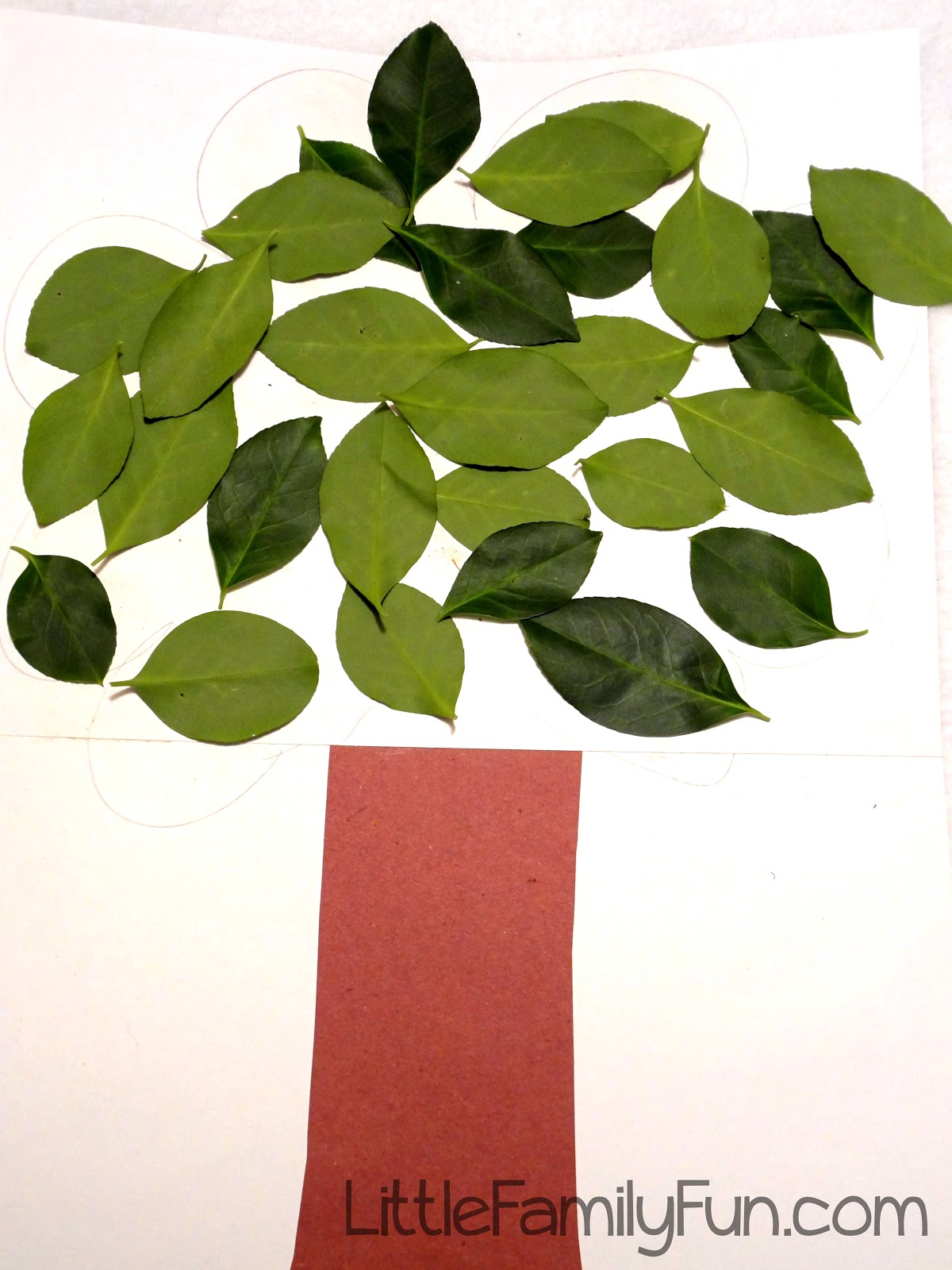 Little Family Fun: Leaf Tree Craft