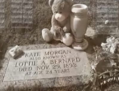 Arquivos do Insólito: Ufologia, Criptozoologia, Fenômenos Anômalos: O ...