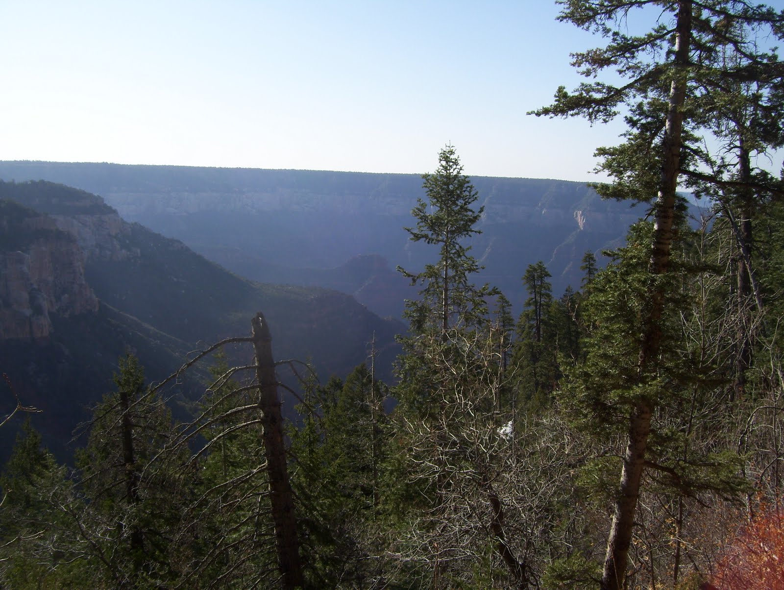 The Trail Less Traveled: My Grand Adventure - Rim 2 Rim 2 Rim