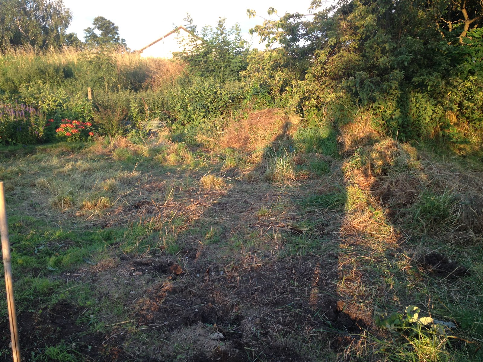 Digging my patch from scratch.......