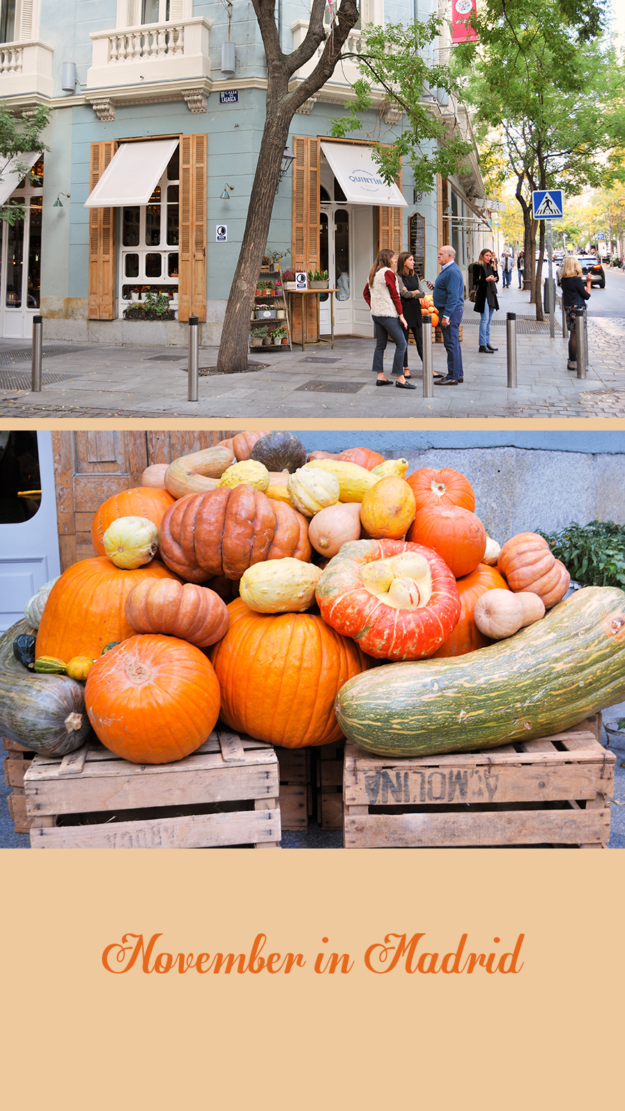 November in Madrid | Memories of the Pacific