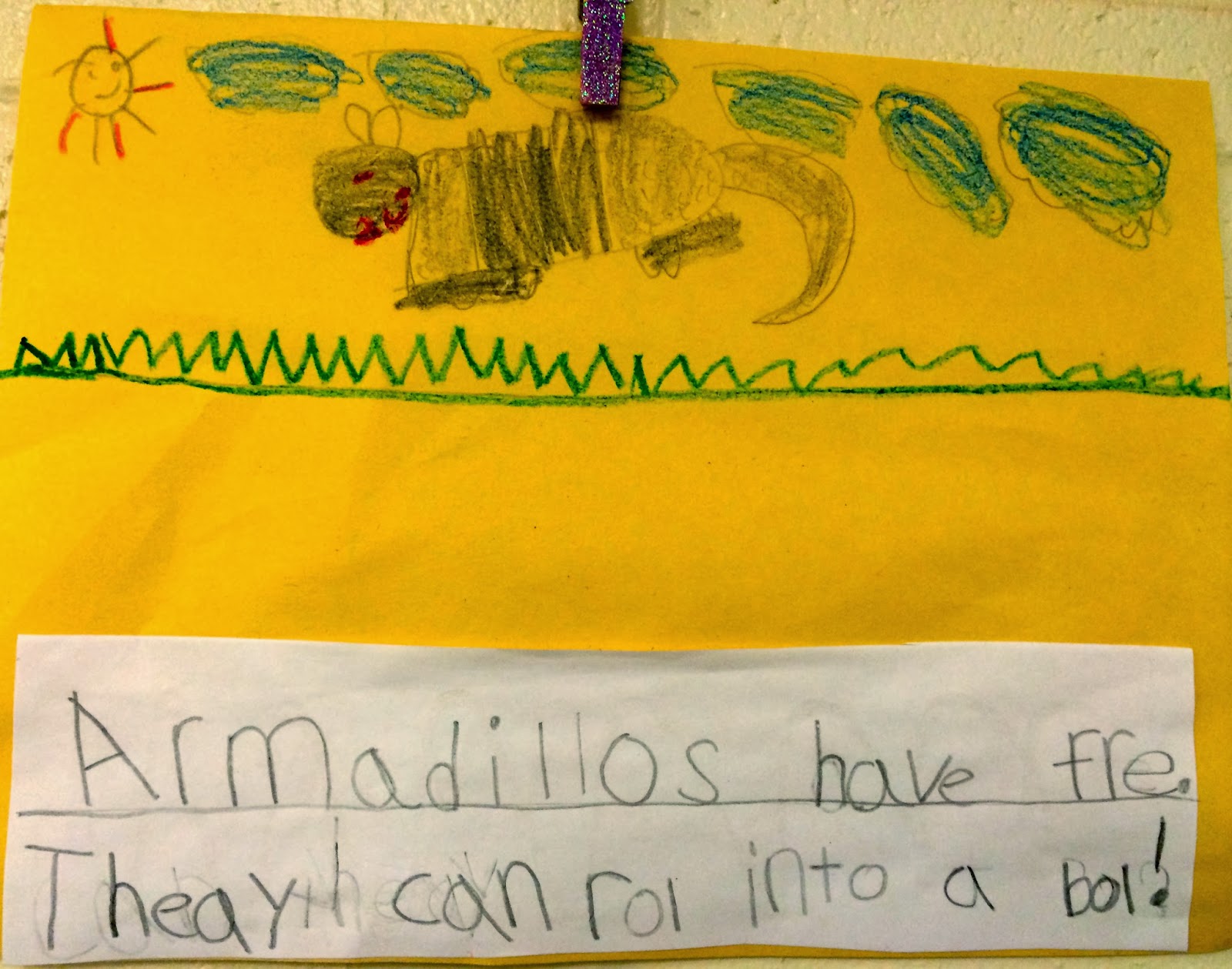 Splendor in Kinder: Armadillo Writing/Armadilly Chili Graphing