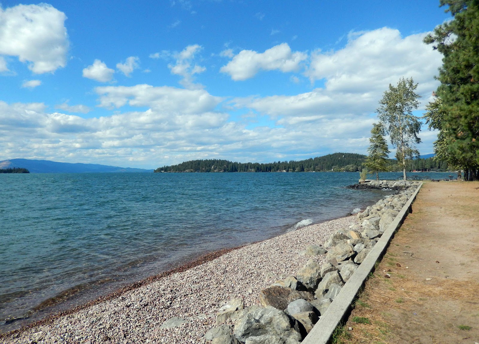 Cat Patches: Finley Point State Park, Montana