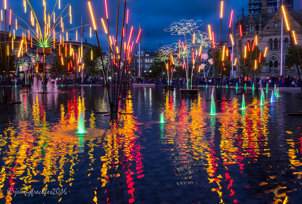 Saltaire Daily Photo: Forest of Light