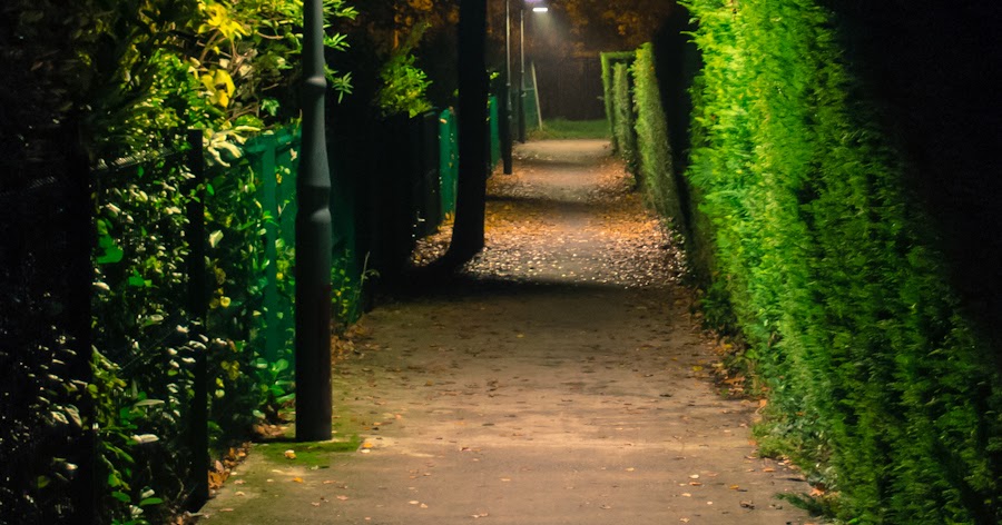 Un jour, une photo: Contre-allée