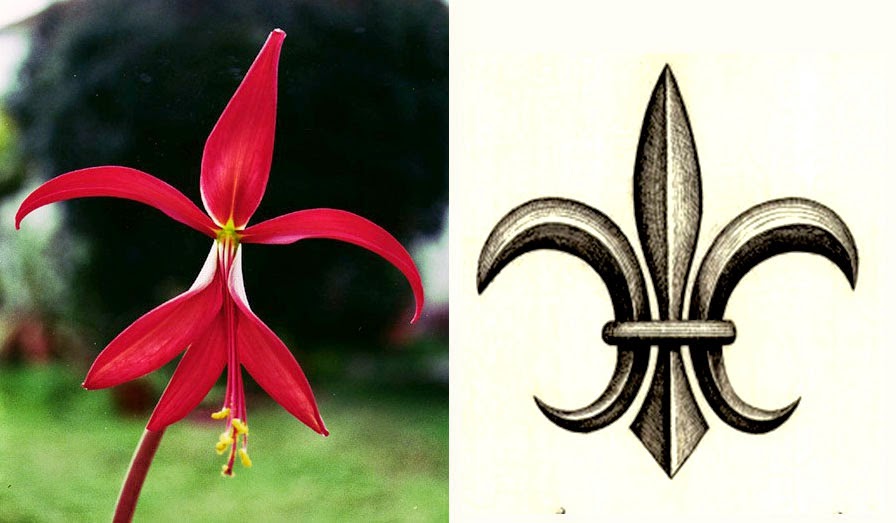 "aldeia dourada": ** "FLOR DE LYS"