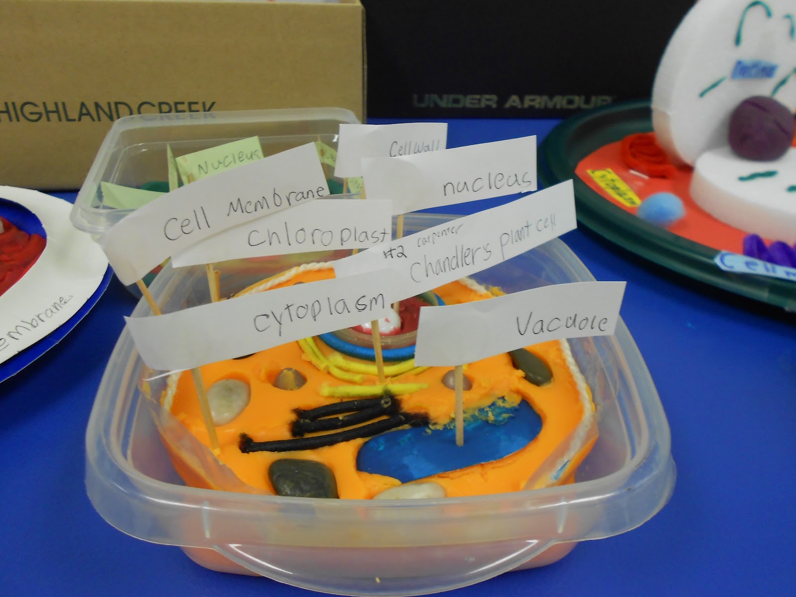 Mrs. McDonald's 4th Grade: Make a Cell Model Project