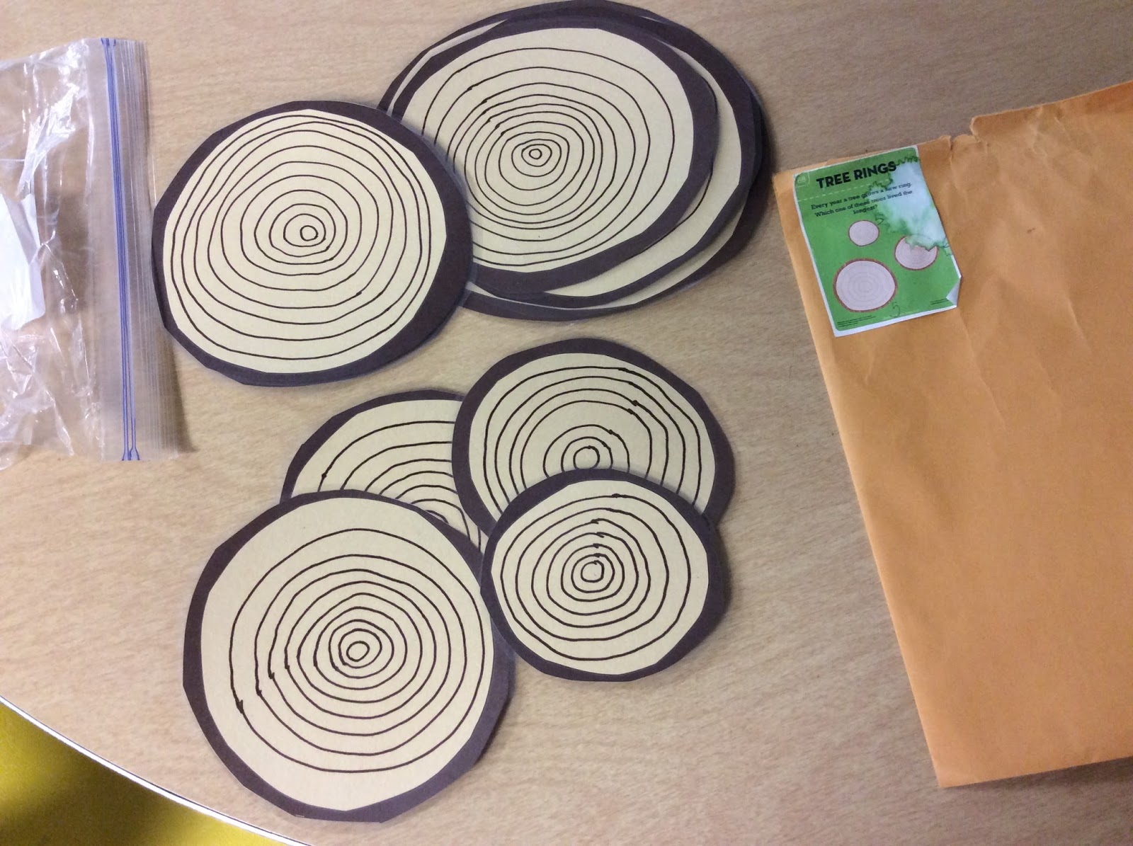 Kindergarten: Hand-in-hand we grow: Trees and seasons