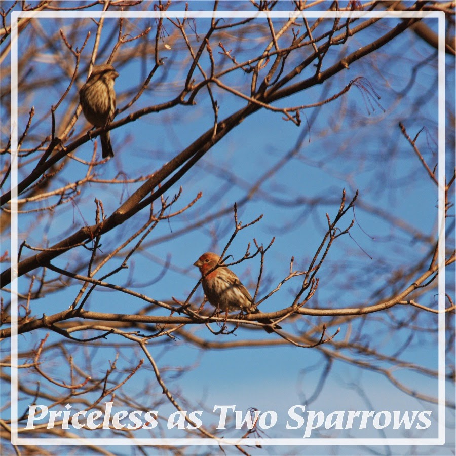 Stone of Witness: Two Sparrows