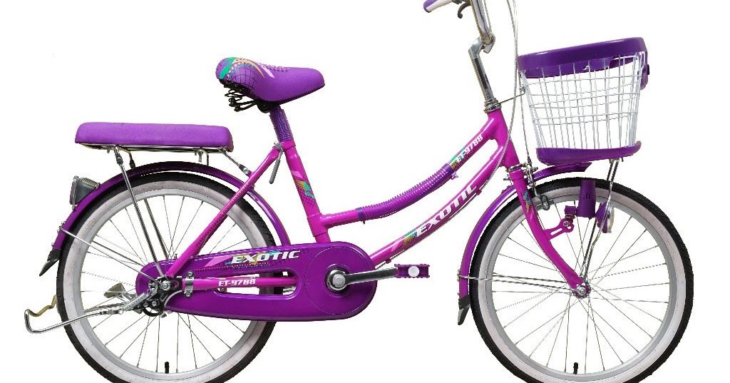 27 Harga Sepeda Mini Exotic 20, Ide Terbaru!