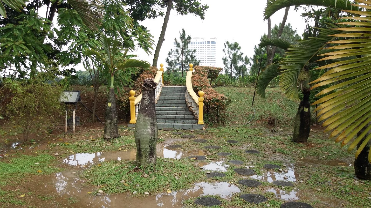 Mohd Faiz bin Abdul Manan: Kota Raja Mahadi