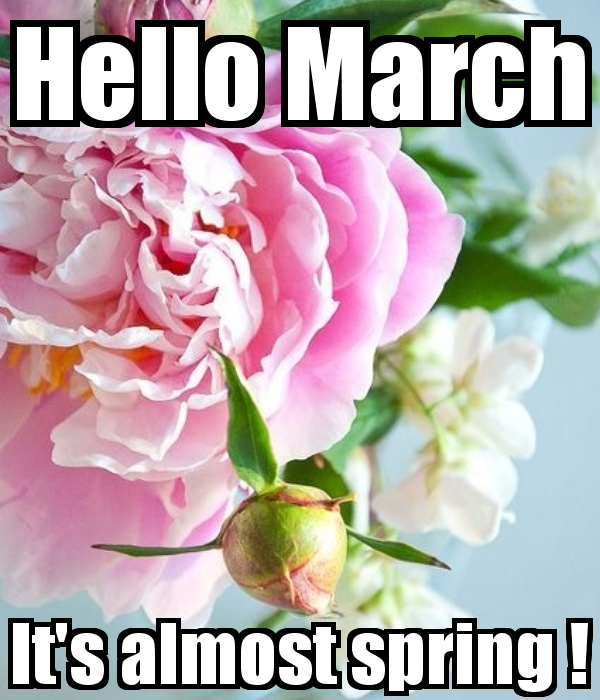 JANE'S DOMAIN: It's Almost Spring. Maybe.