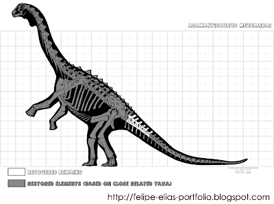 FELIPE ALVES ELIAS - Portfolio: Adamantisaurus mezzalirai (2011)