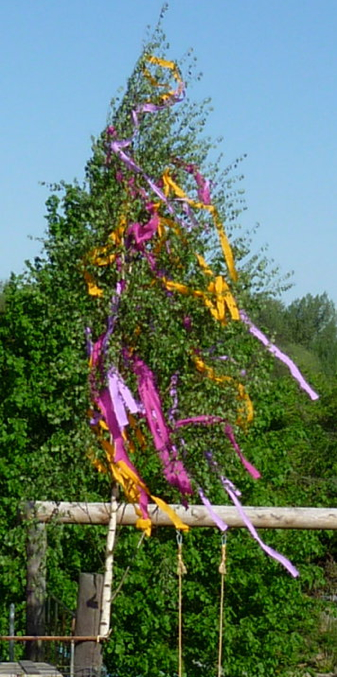 Maypole Cupcakes – Diary of a Mad Hausfrau