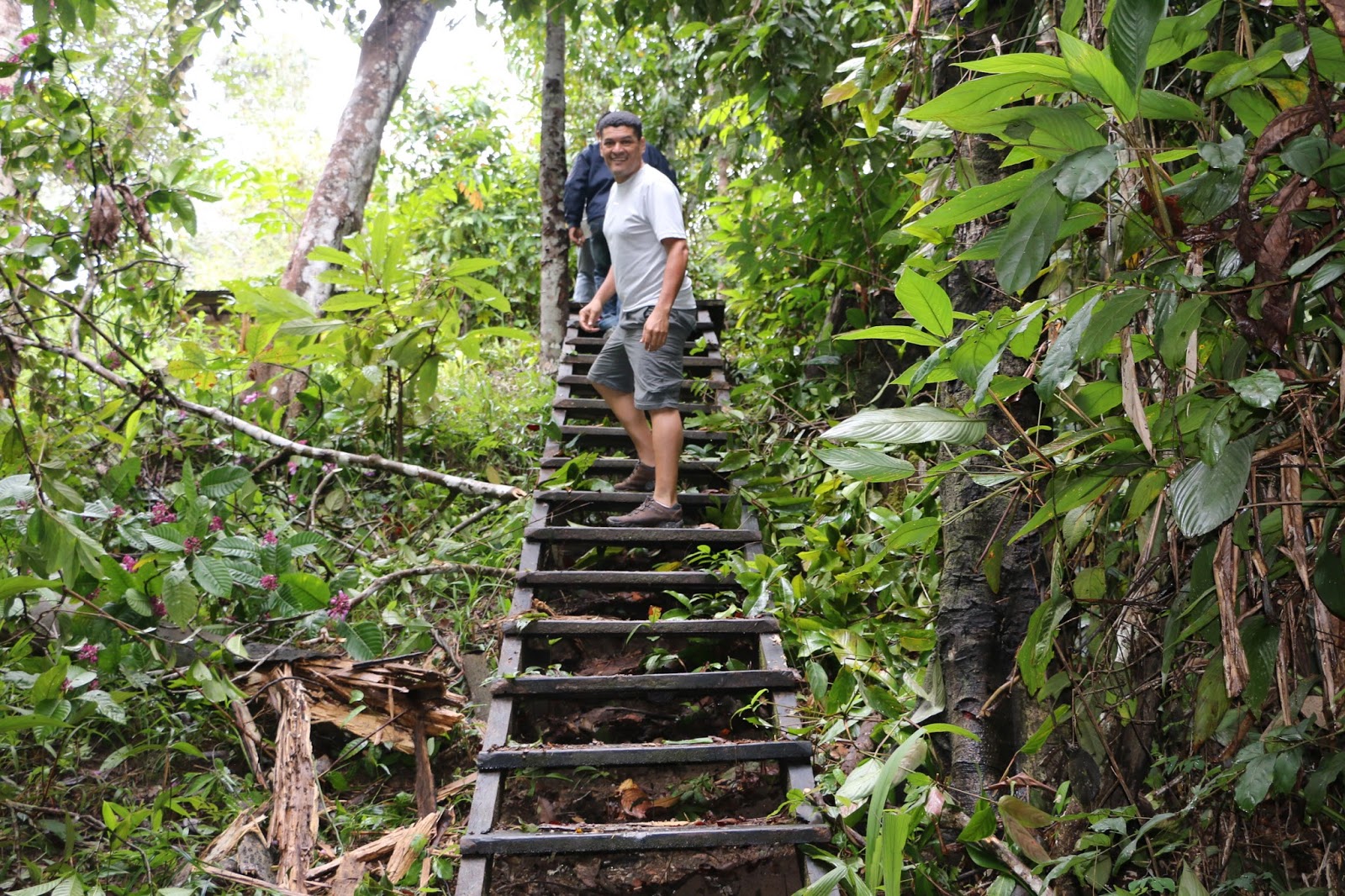 Fui conhecer o Céu do Mapiá