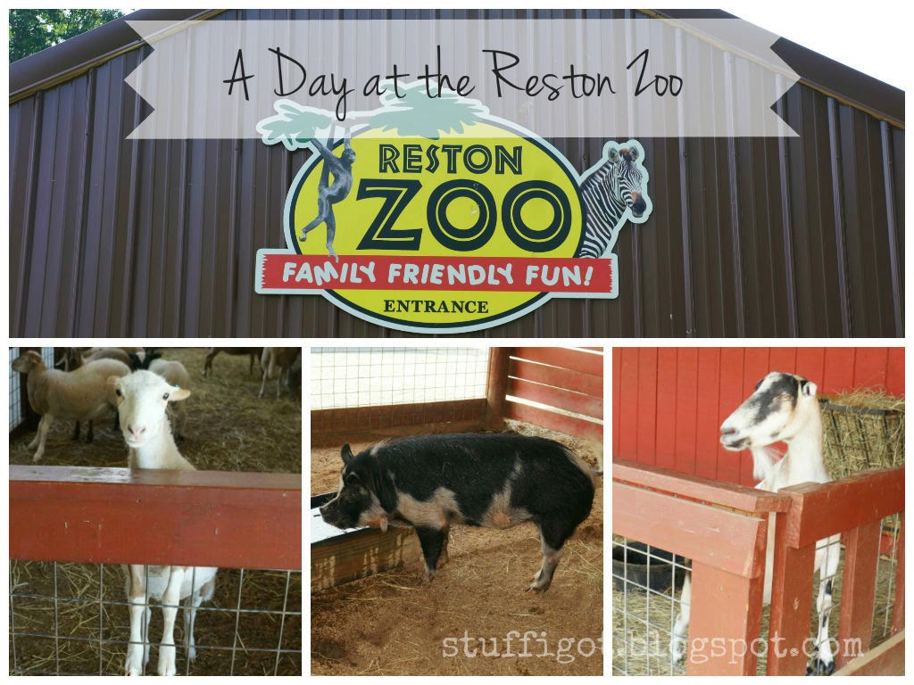 Crafty And Wanderfull Life: A Day at the Reston Zoo