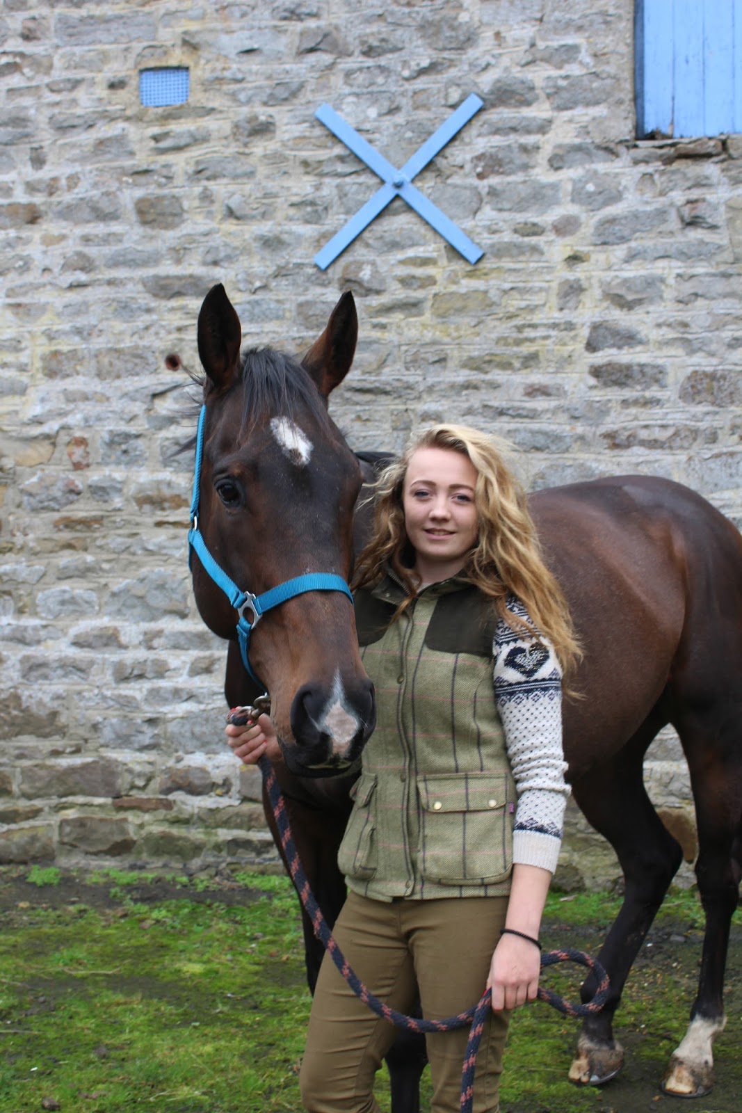 Teesdale Mercury: Hands-on Amy gets to grips with equine massage