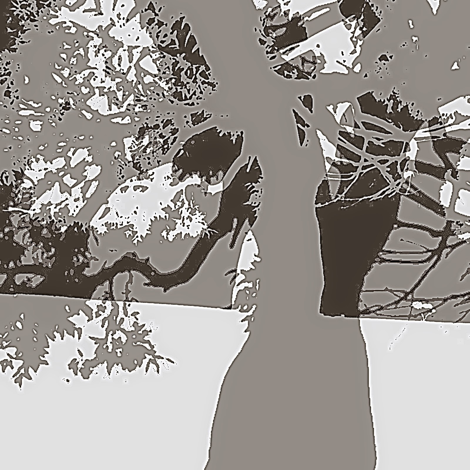 Geelong Visual Diary: abstract of a tree