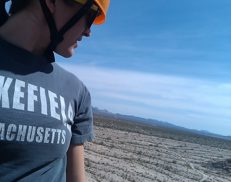 The Adventures of Insane Jane