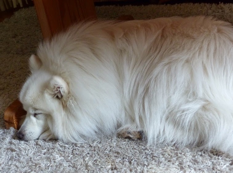 Kasperian: Kaffe och ditt och datt