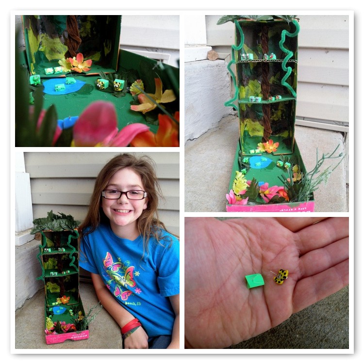 The Fantastic Five: Shoe Box Habitats