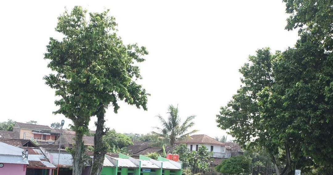 wisata Pemandian Jolotundo atau umbul Jolotundo Klaten | Seputar Kebumen