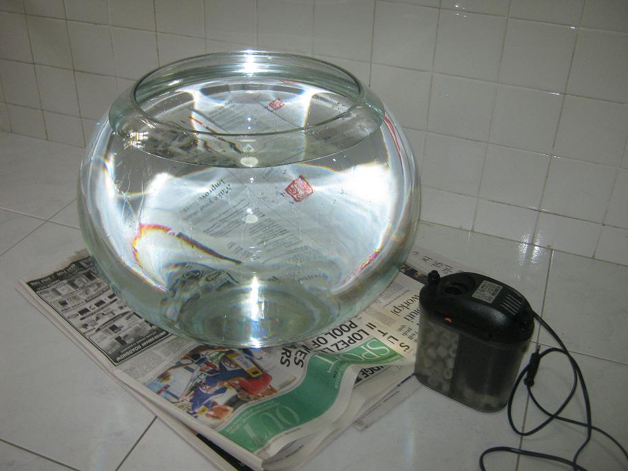 A NIGHT BY THE AQUARIUM: Unboxing - Jumbo Fish Bowl