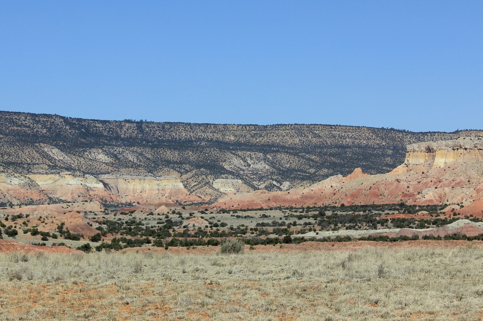 Field Trip Friday--Ghost Ranch - Catching Happiness
