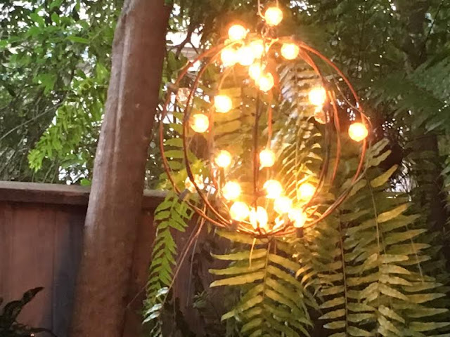 The Uptown Acorn: Orbs in the Garden