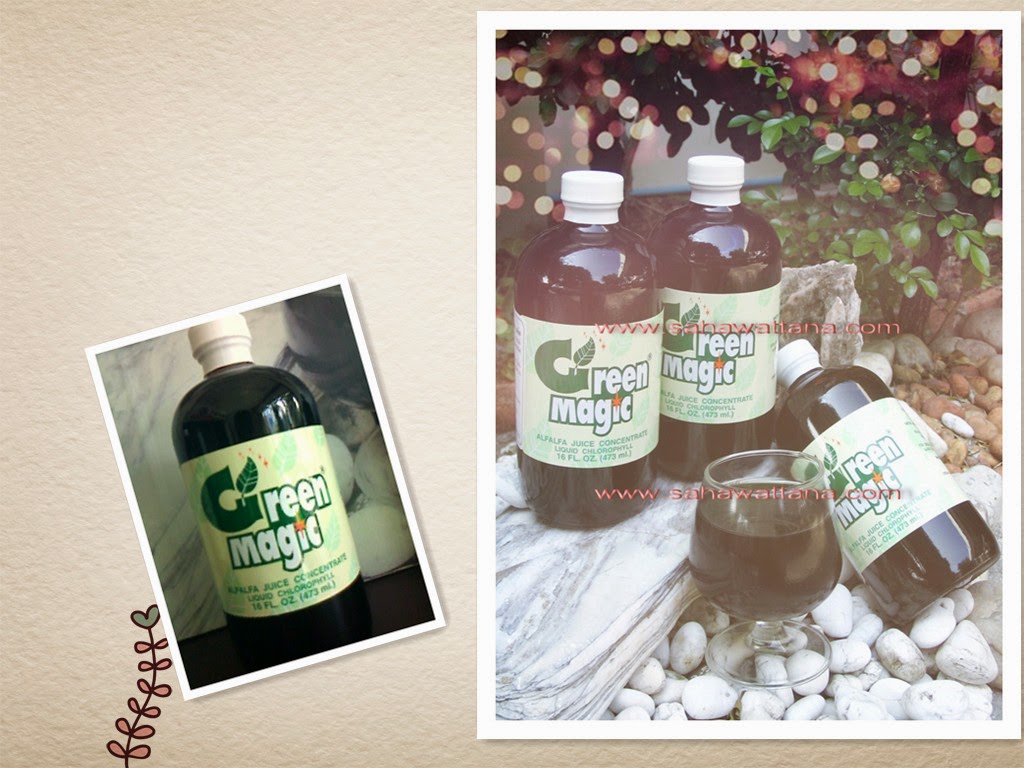 คลอโรฟิลล์ 100% ตรากรีนแมจิก GREEN MAGIC