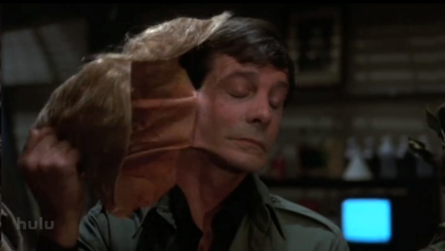 The Psychotronic Kinematograph: 'Swamp Thing' (Wes Craven, 1982) / 'The ...