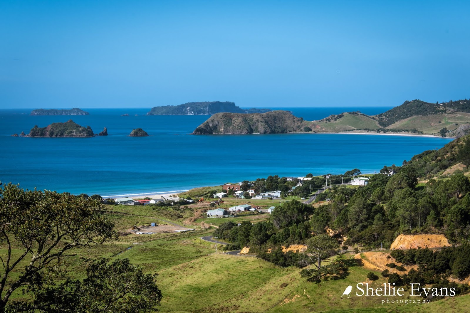 Two Go Tiki Touring: Three Hidden Gems- Coromandel