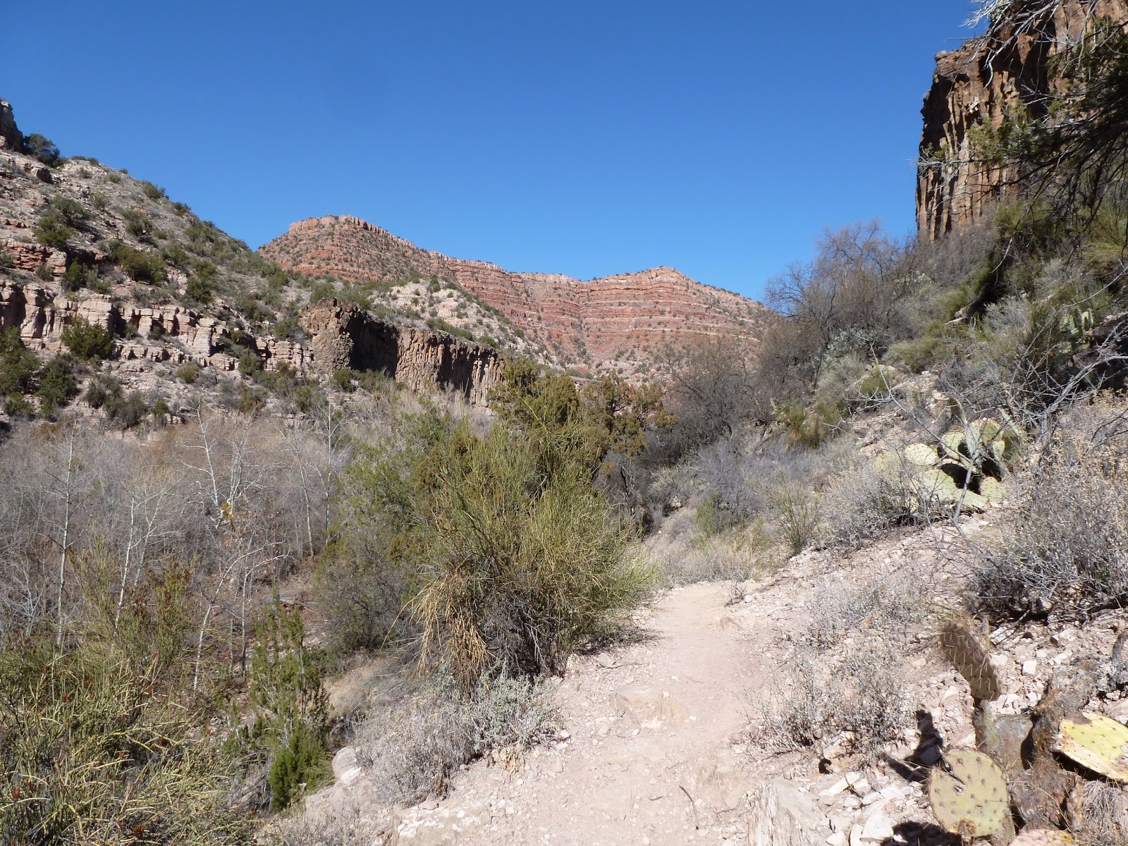 The Continuing Adventures of Eric, Noelle and Sierra: Coconino National ...
