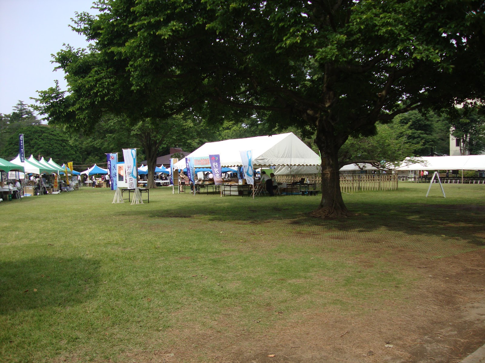 Life in Japan: The Rose Garden of Reitaku University