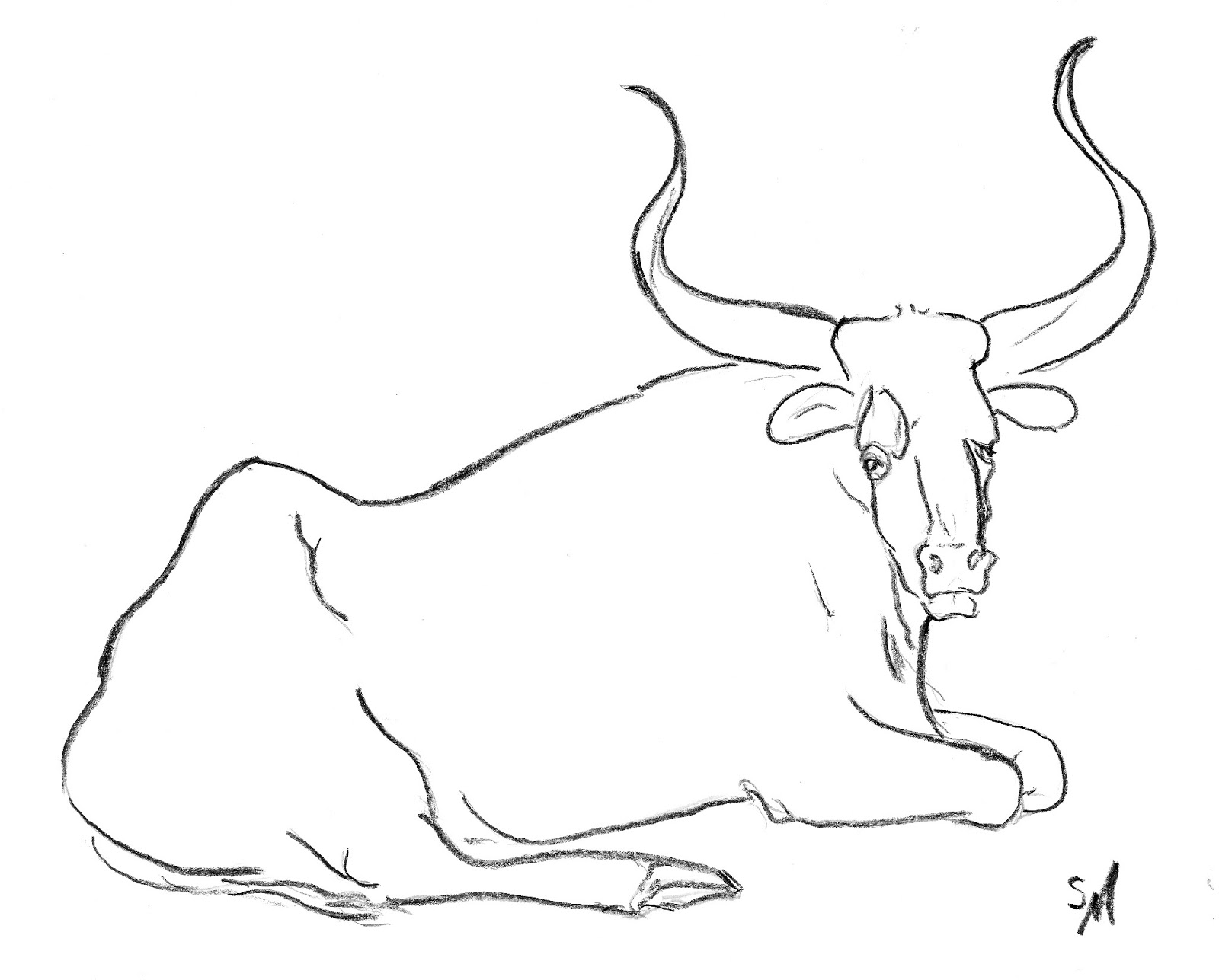 The Other Oeuvre: Ox, Charcoal Studies. S. Myers The Other Oeuvre: Ox, Charcoal Studies. S. Myers